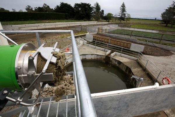 Going with the flow - Dairy Country