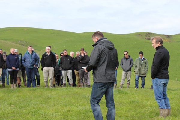 Dairy lessons for Super Fund farm - Dairy Country
