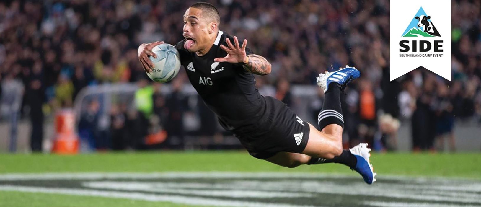 Wellness: Getting over the line - Dairy Country