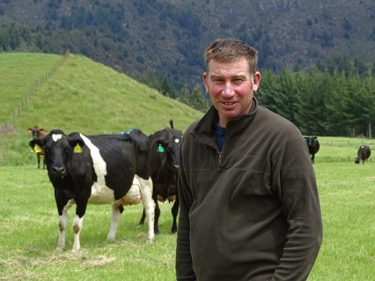 Search for the ideal model - Dairy Country