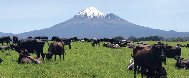 Charlie McCaig: What next? The world - Dairy Country