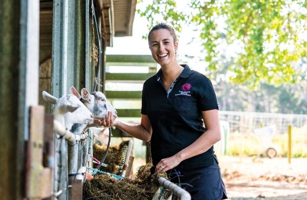 Growing into dairy - Dairy Country