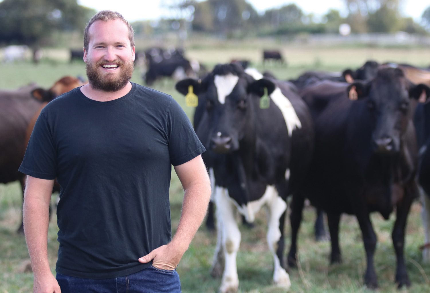Seeking out the facts - Dairy Country