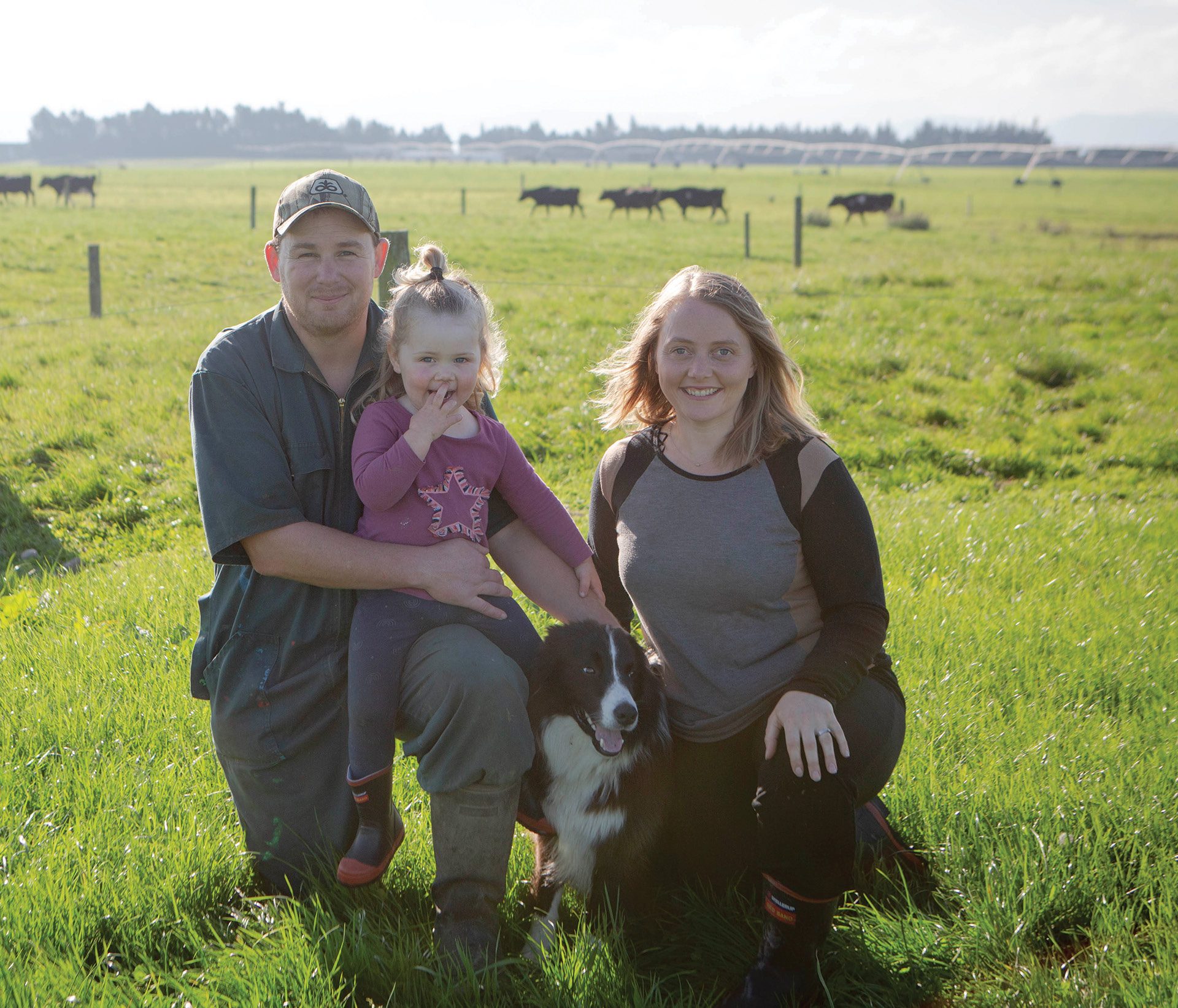 Success in the south - Dairy Country