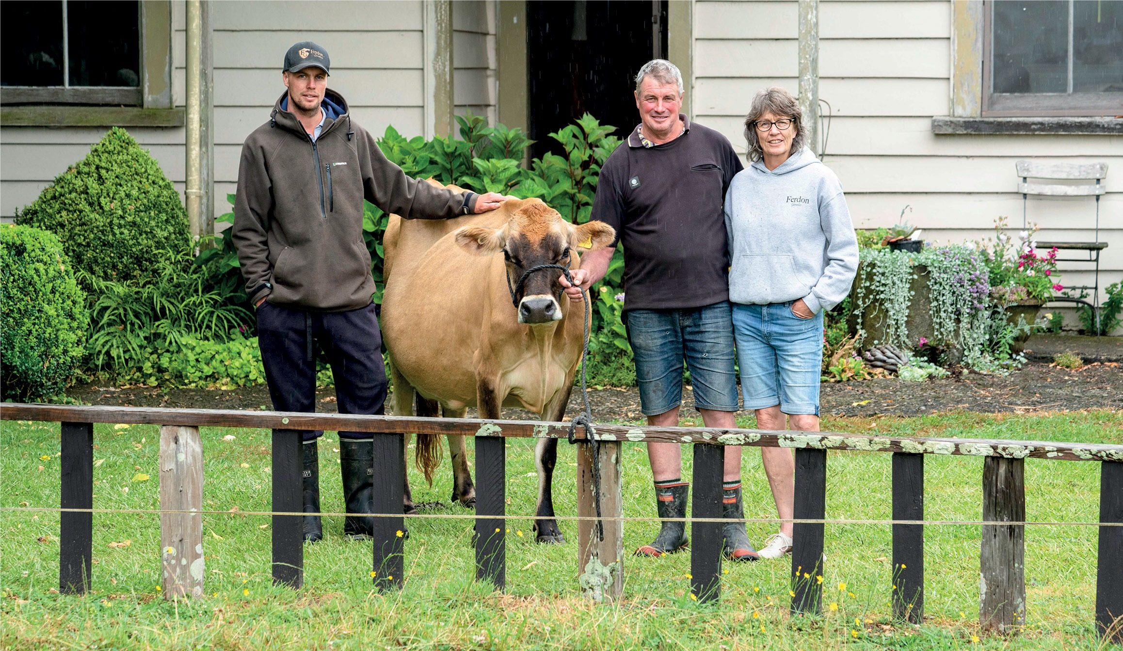 Show cows and Royal connections - Dairy Country