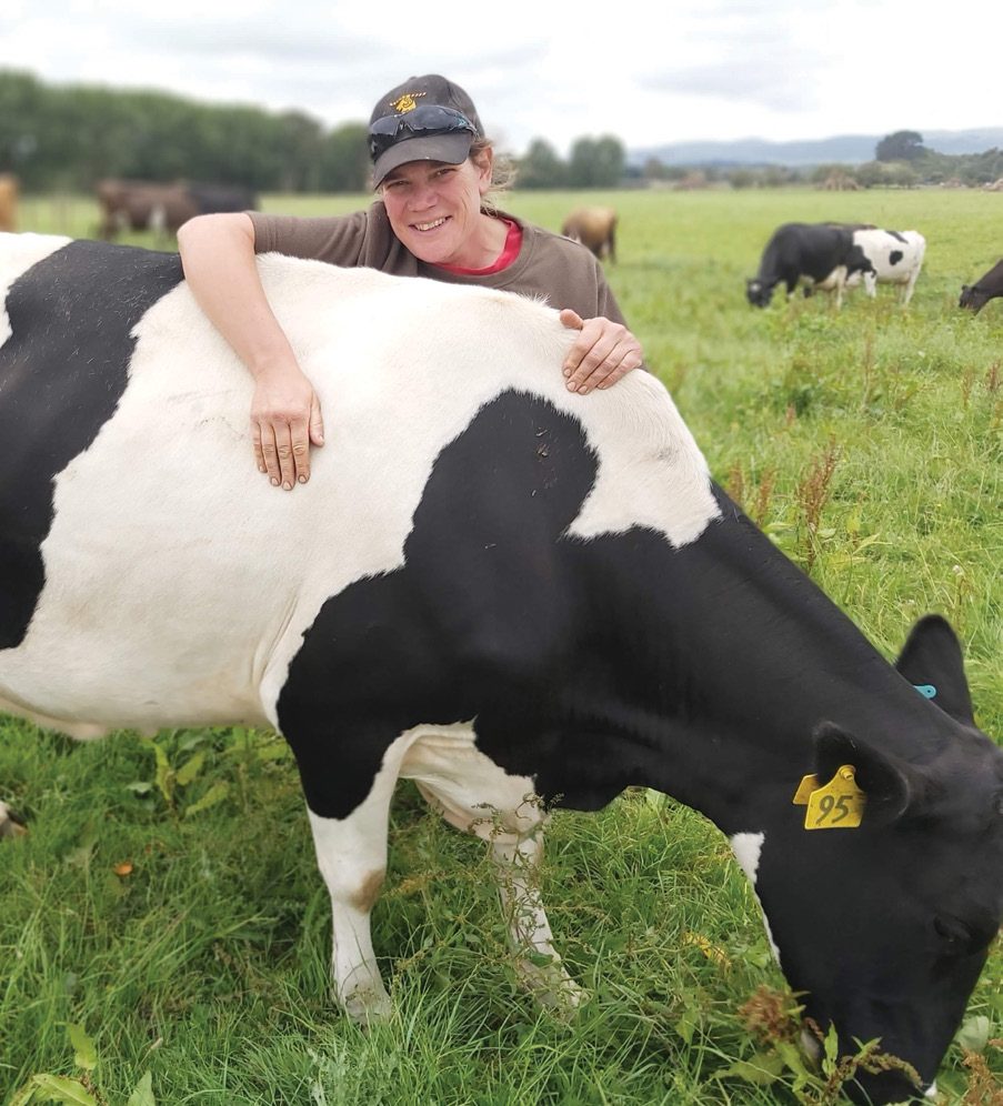 Reducing mastitis antibiotic use - Dairy Country