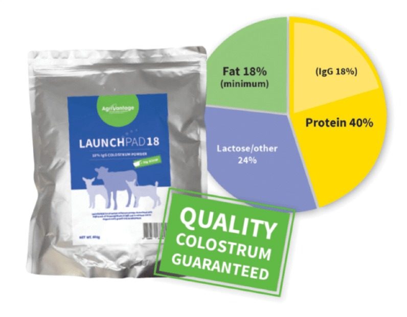 Five facts about colostrum feeding - Dairy Country