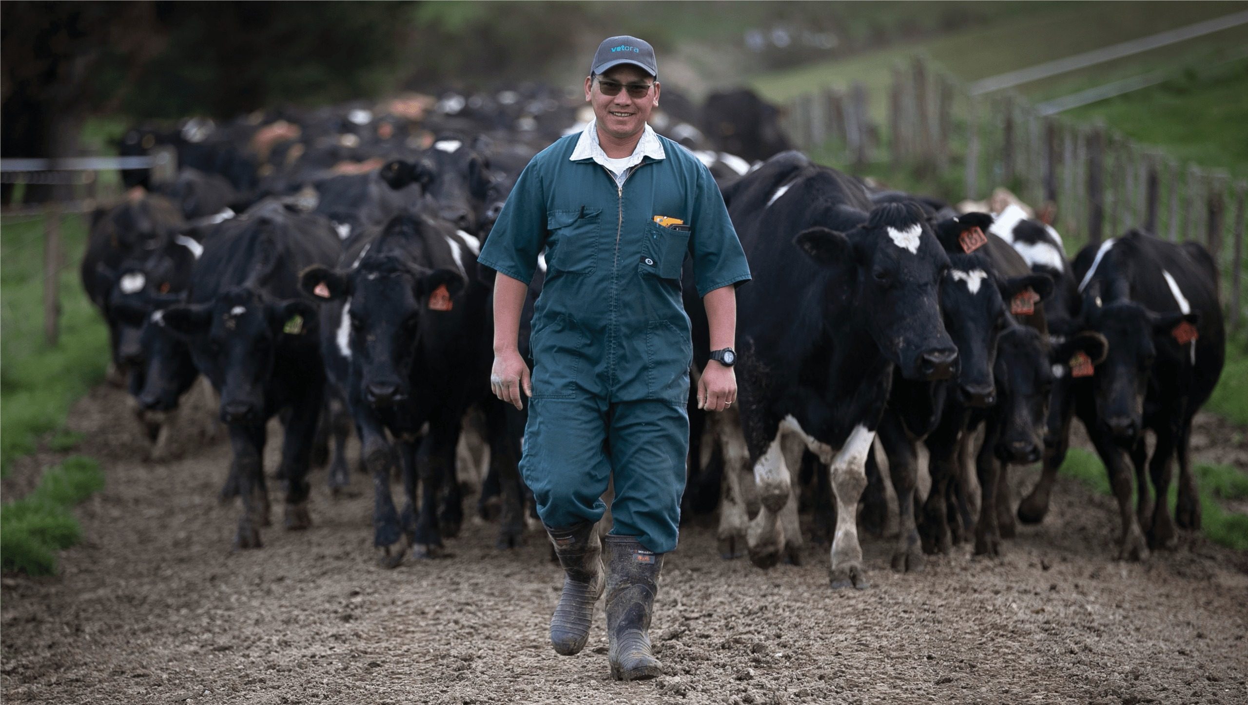 Farm hygiene: High standards in a sensitive environment - Dairy Country