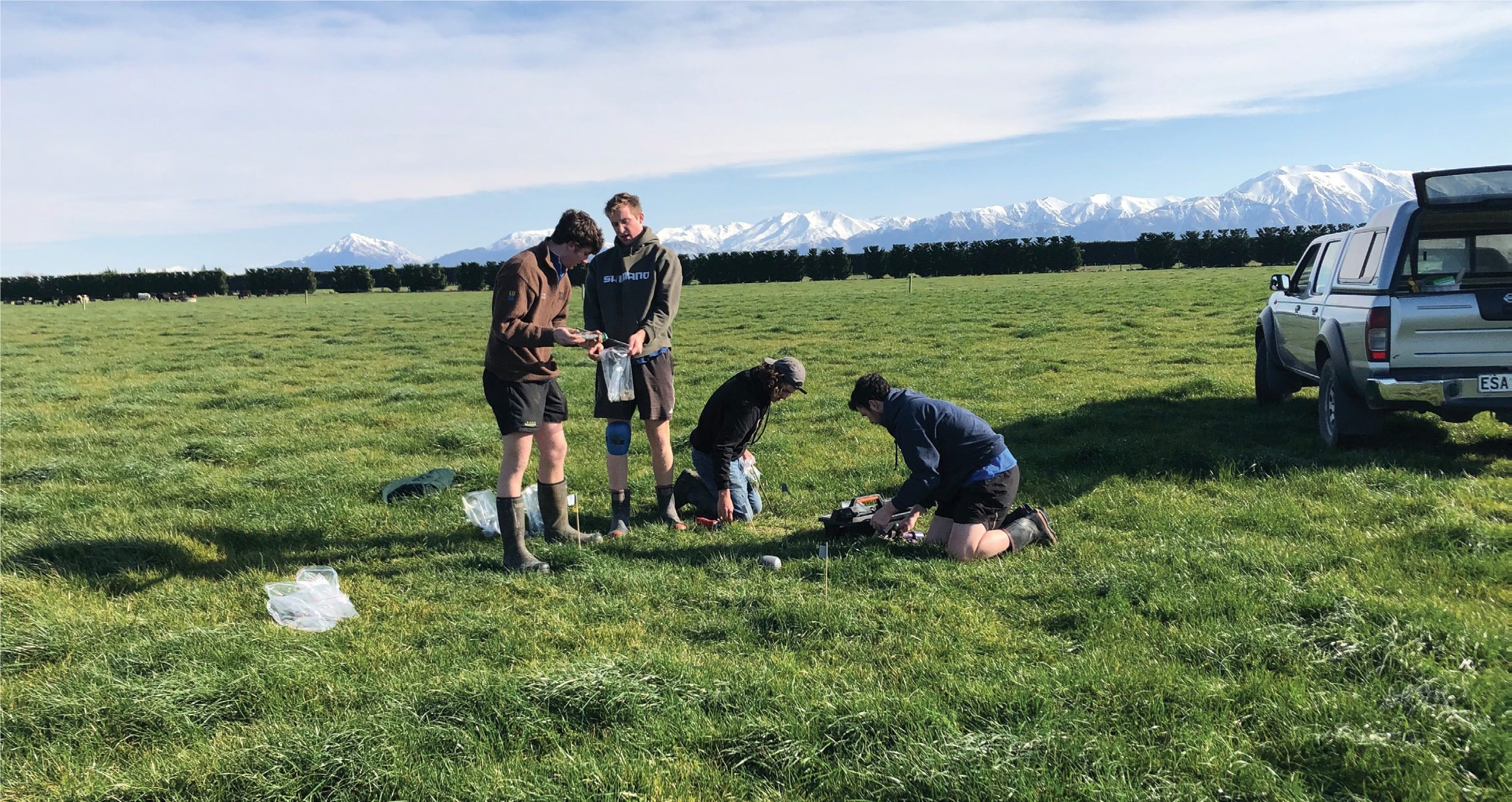 Leaching: No silver bullet - Dairy Country