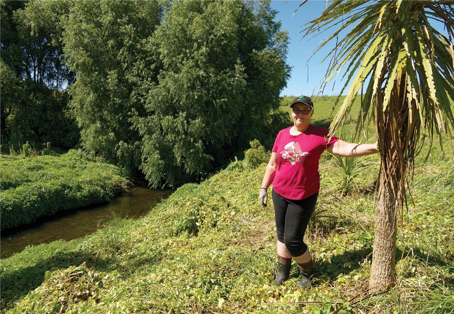 Transition to autumn calving pays off - Dairy Country