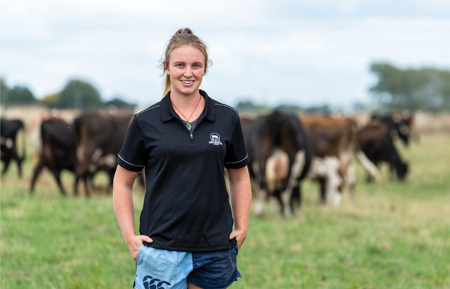 Dairy for life - Dairy Country