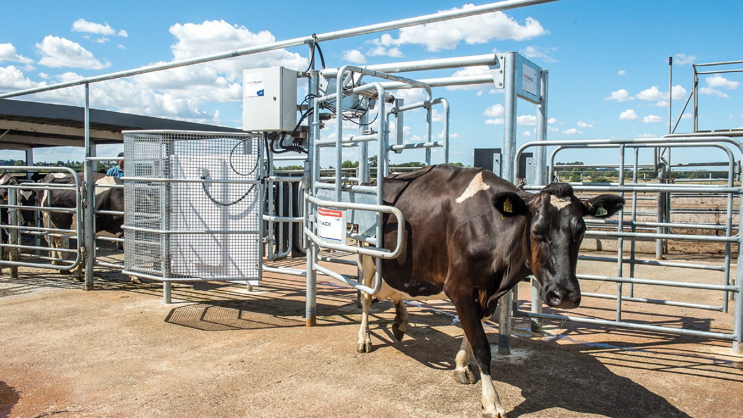 Merger expands tech growth - Dairy Country