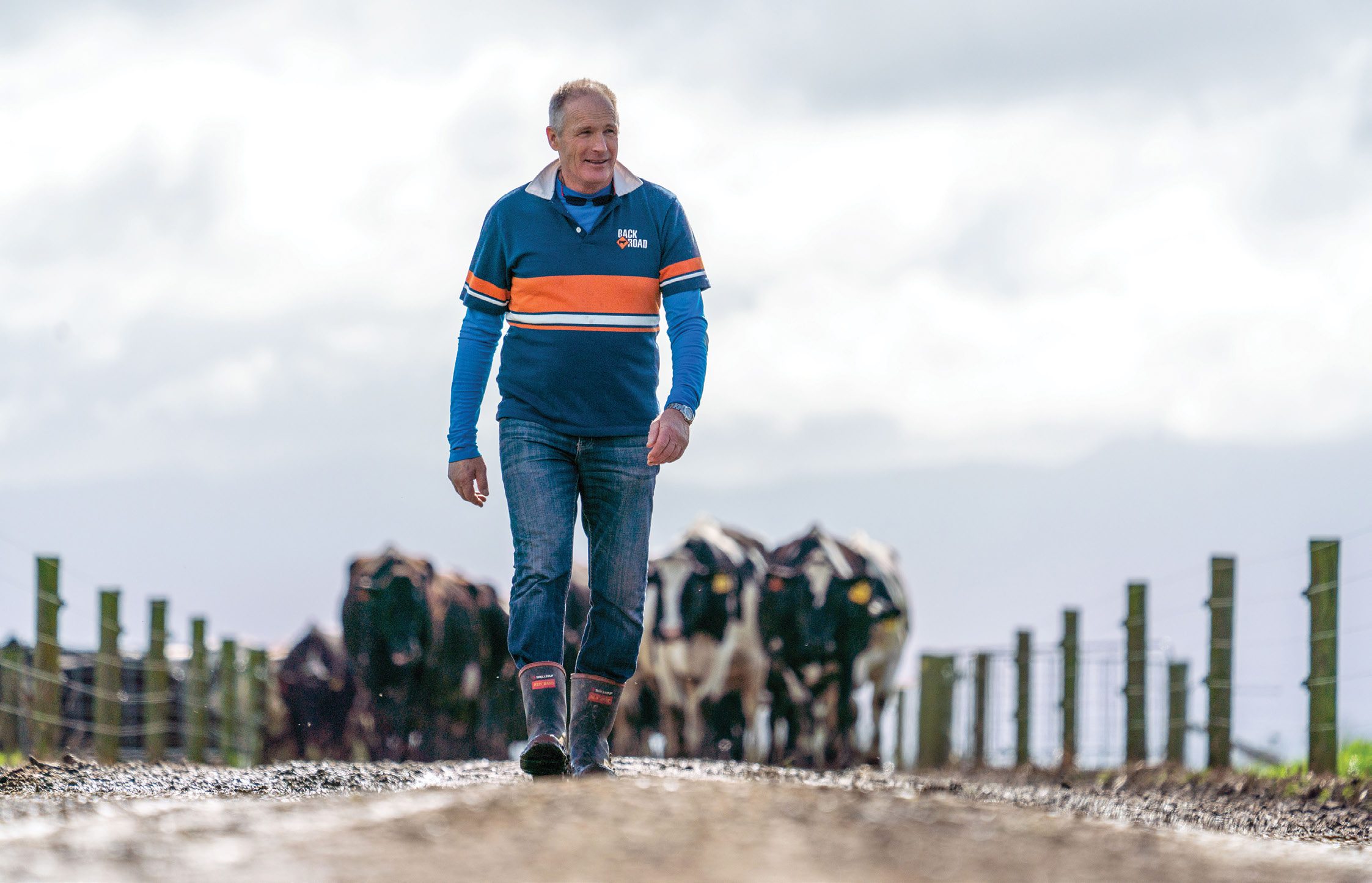 Efficiency from amazing maize - Dairy Country