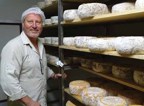 Devotion to soft cheese - Dairy Country