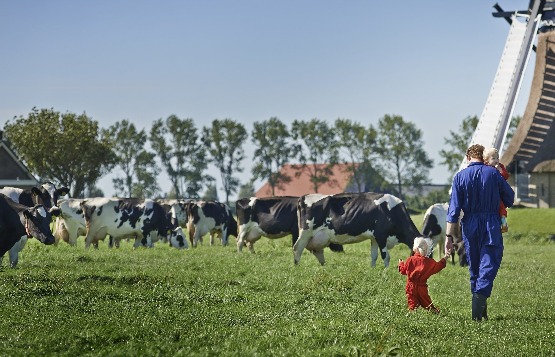 Surge in demand for Dutch milk - Dairy Country