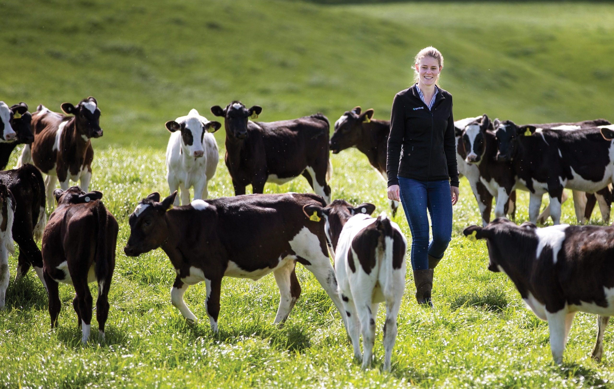 Variety from consulting to composting - Dairy Country