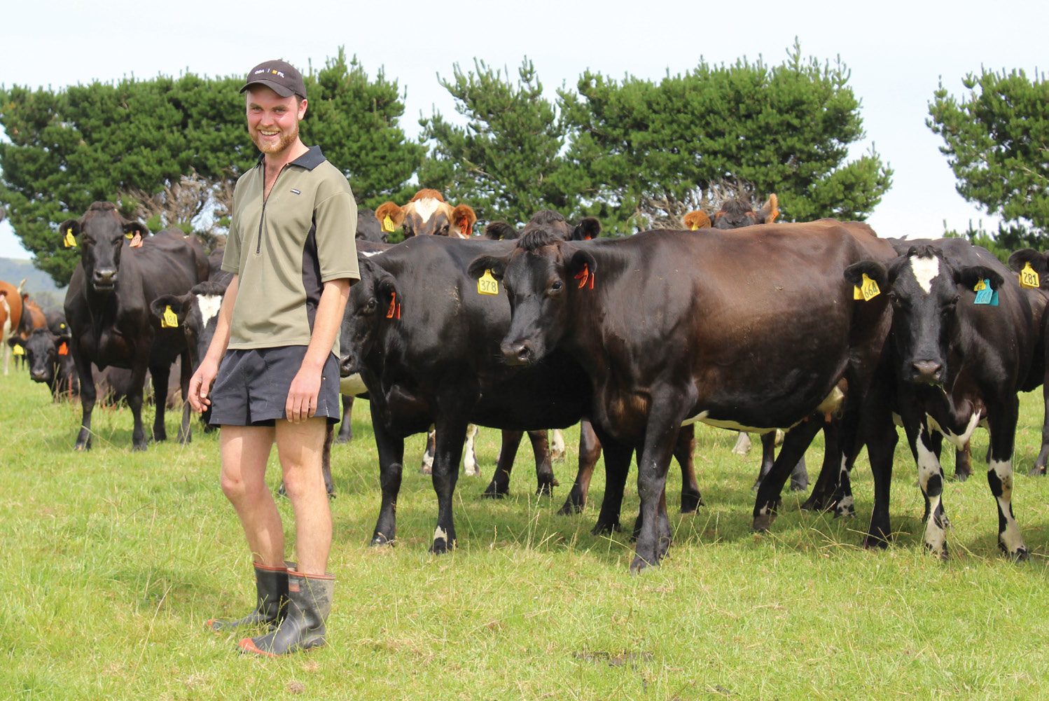Fired up for dairying - Dairy Country