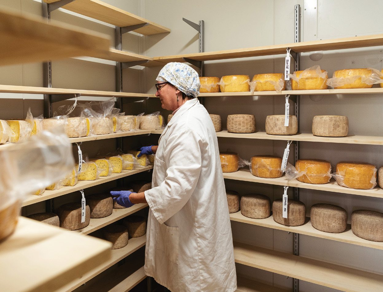 Keeping it local - Dairy Country