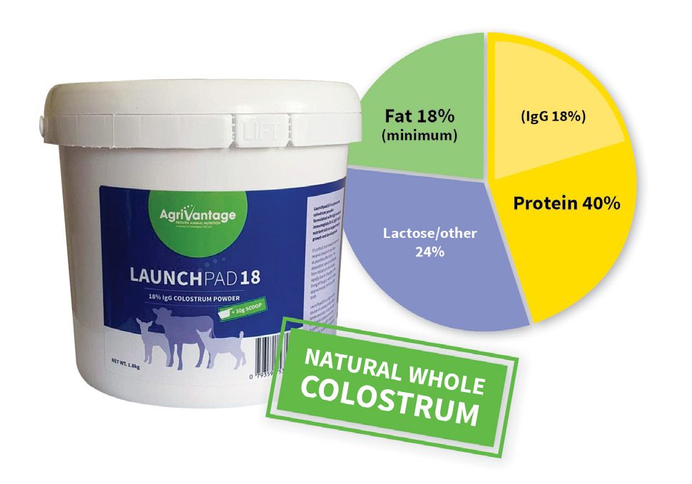 Know your colostrum powder - Dairy Country