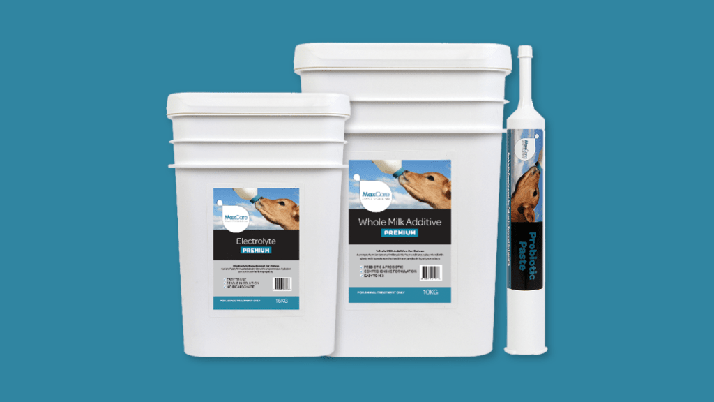 Maxcare adds three new products to its calf feed range - Dairy Country