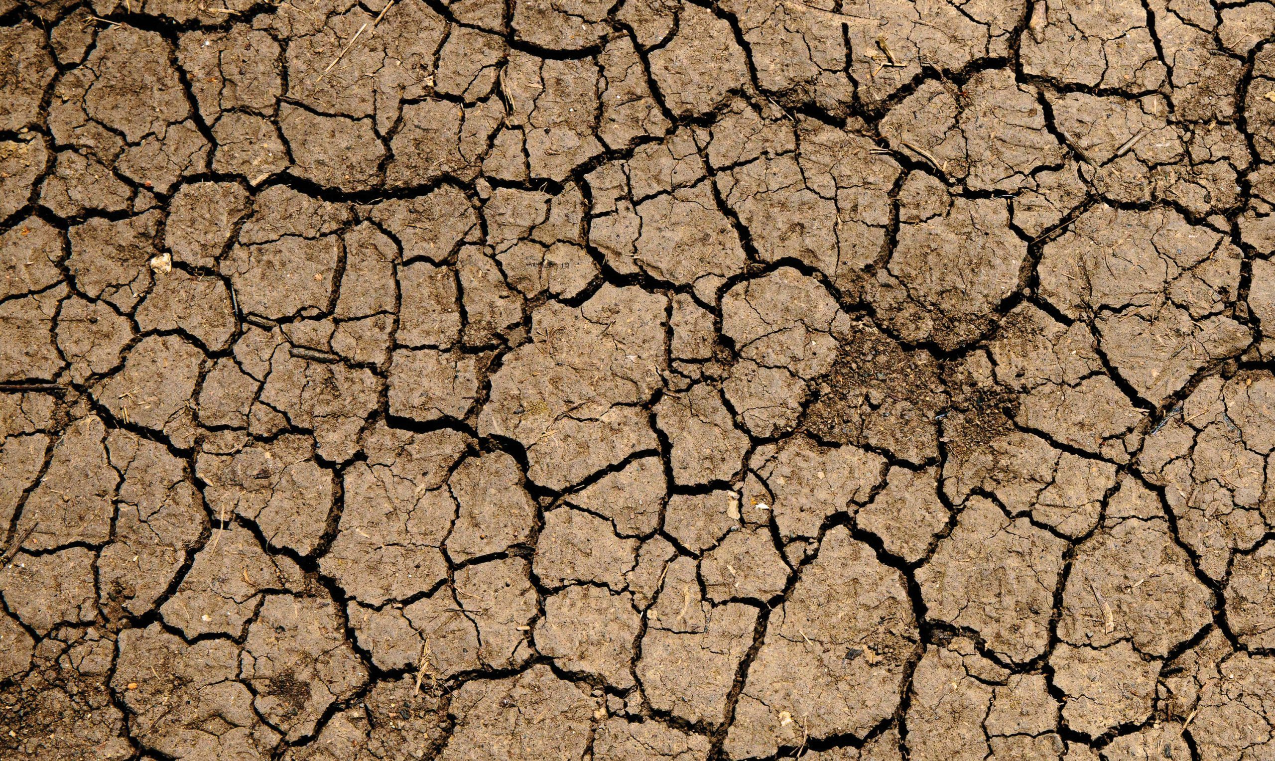 Strategies for the dry - Dairy Country