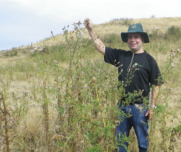 The invaders among us - Dairy Country