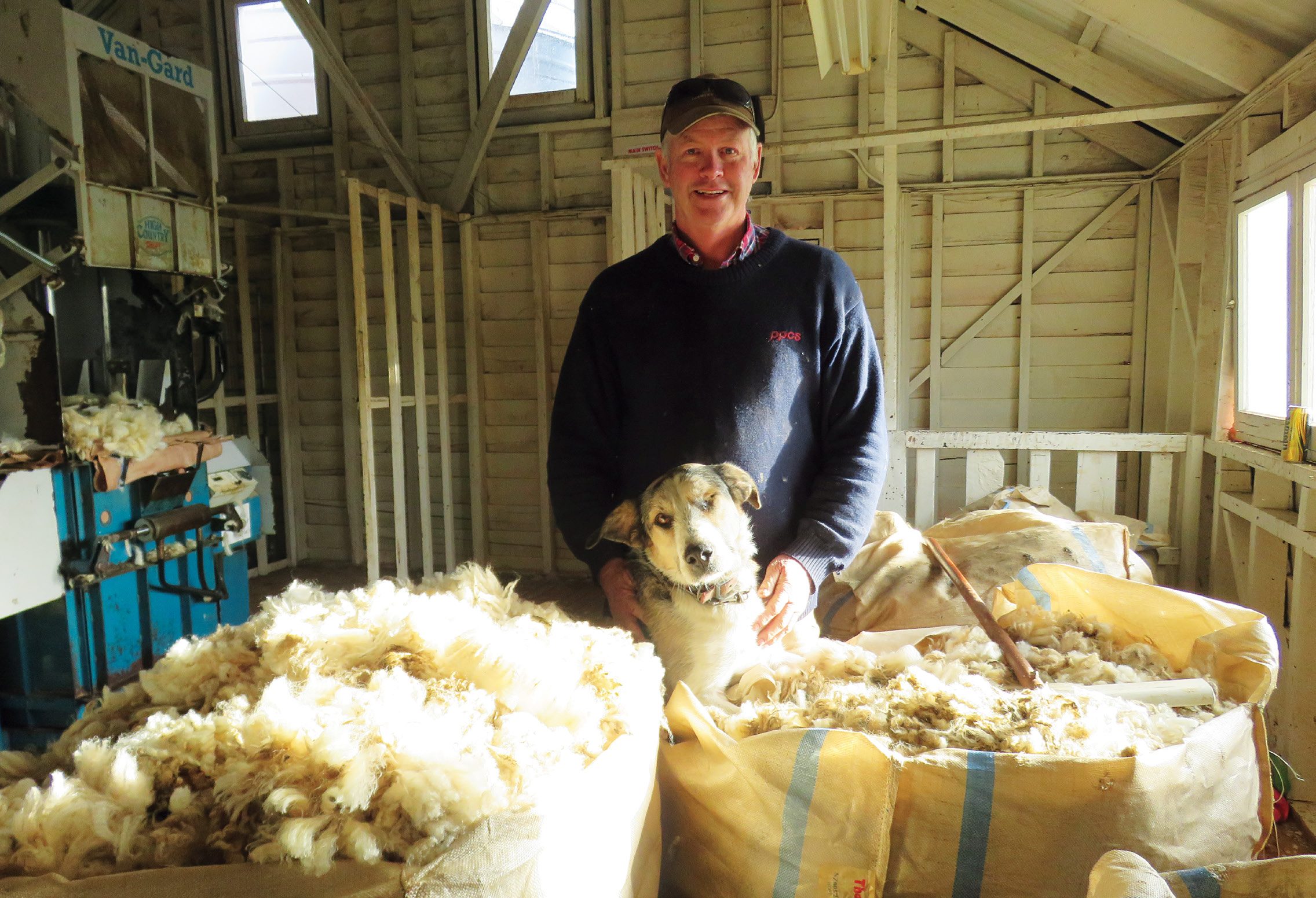 Broken-down wool gets new use - Dairy Country