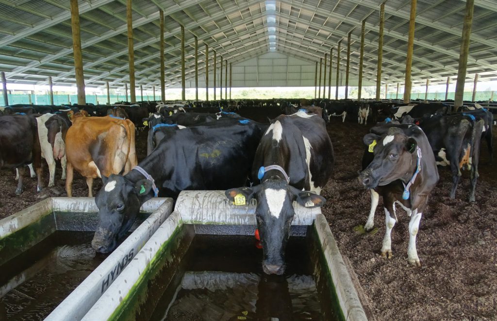 Adapting to compost - Dairy Country
