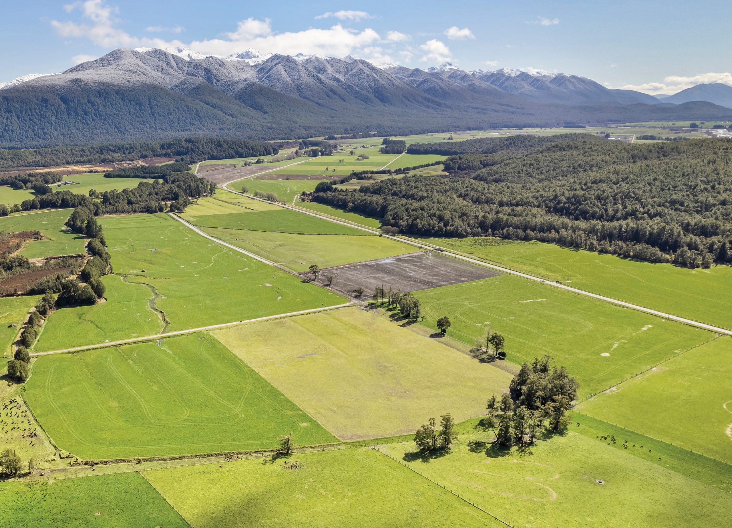 Legacy of a likeable rogue - Dairy Country