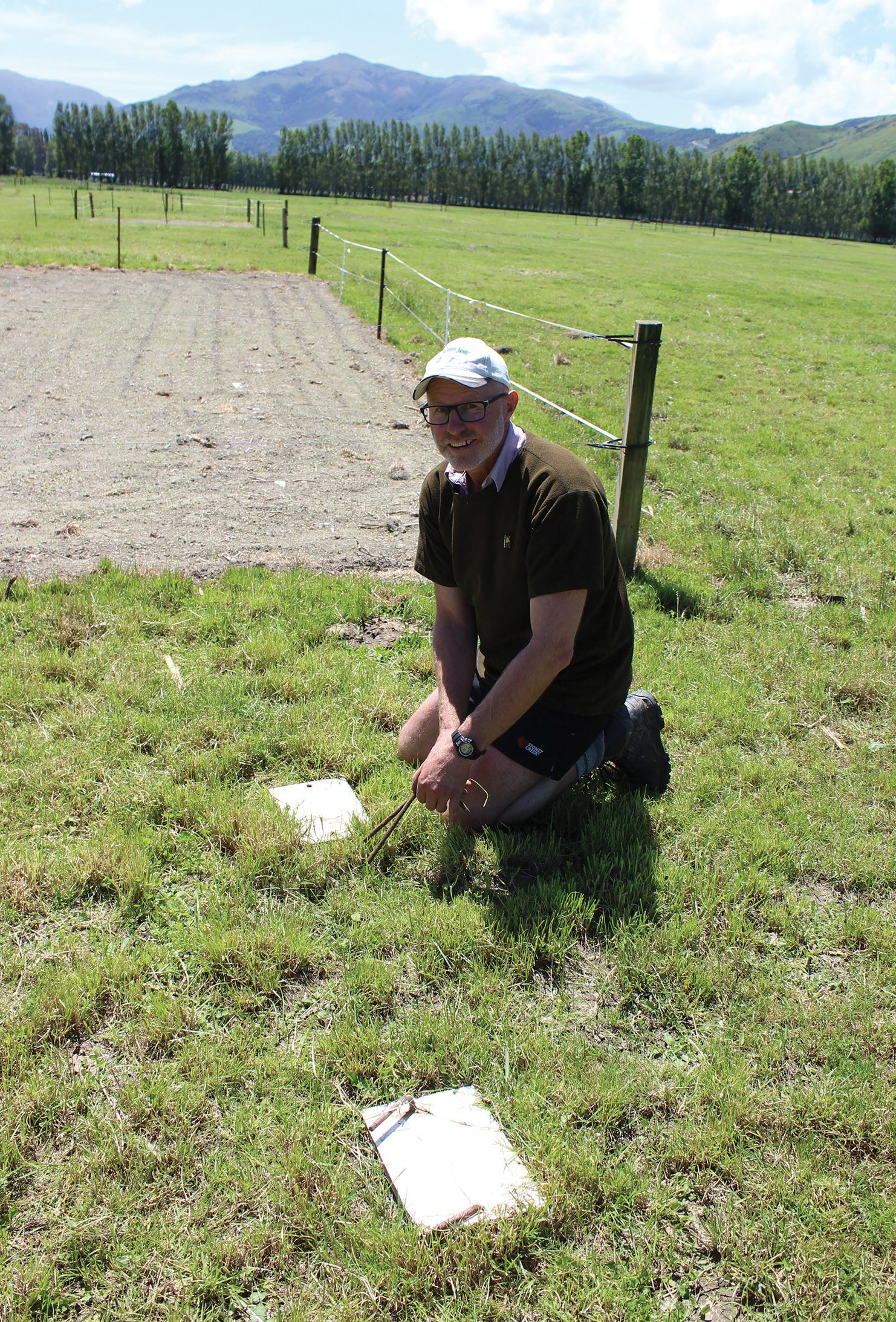 Testing the pasture - Dairy Country