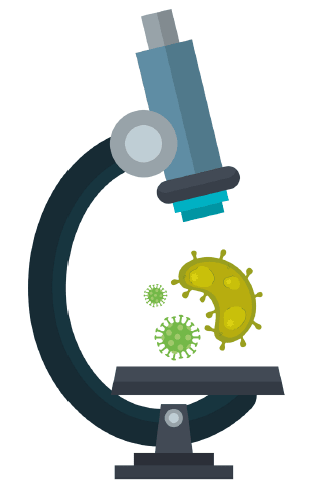Spore counting to monitor facial eczema risk - Dairy Country