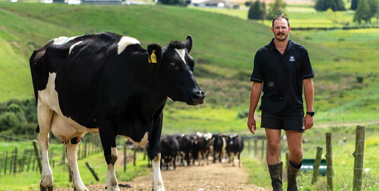 Taking a win for the team - Dairy Country