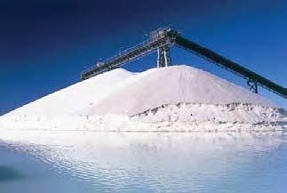 Salt for production - Dairy Country