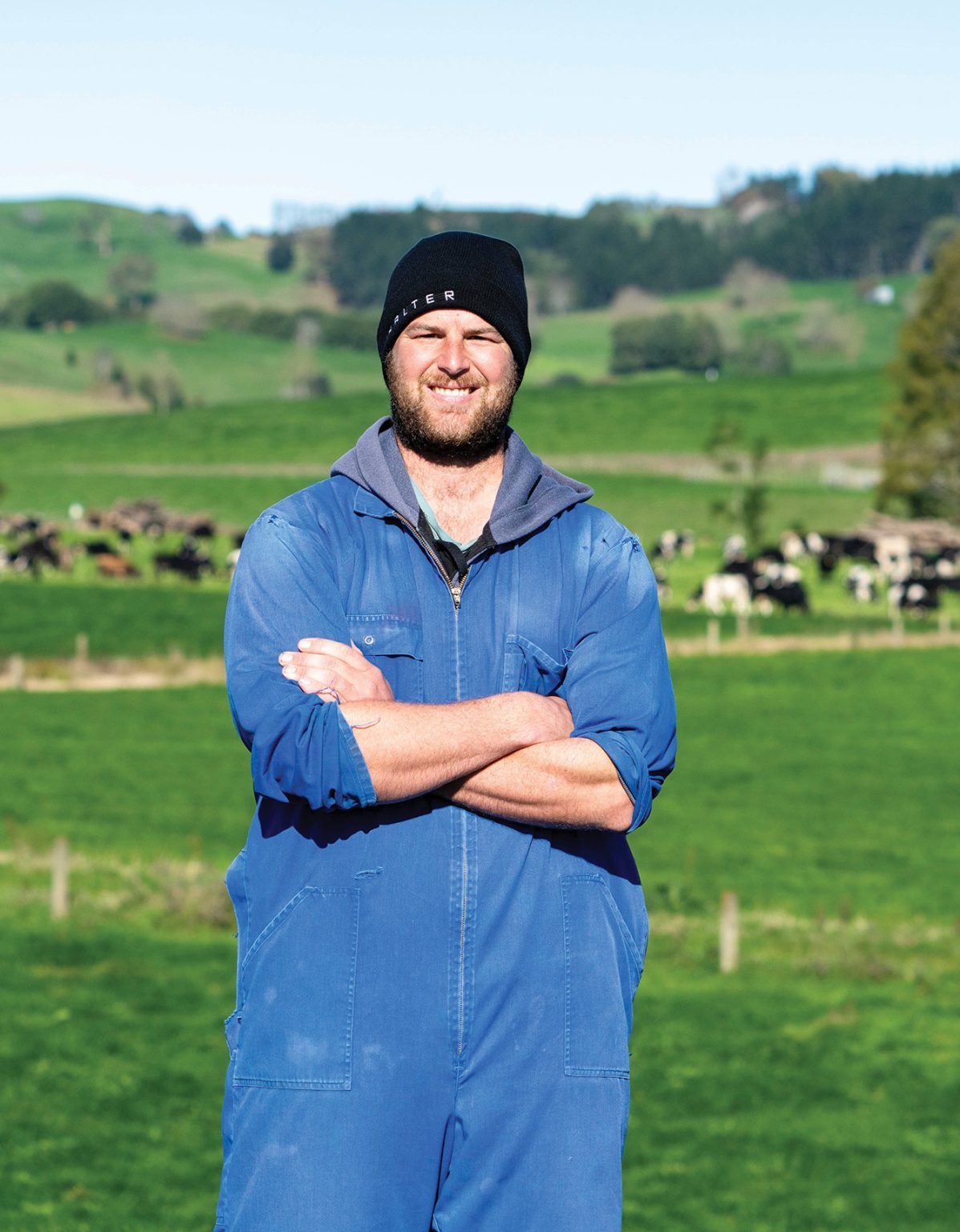 ‘Hands solo’ for cow collar farmer - Dairy Country