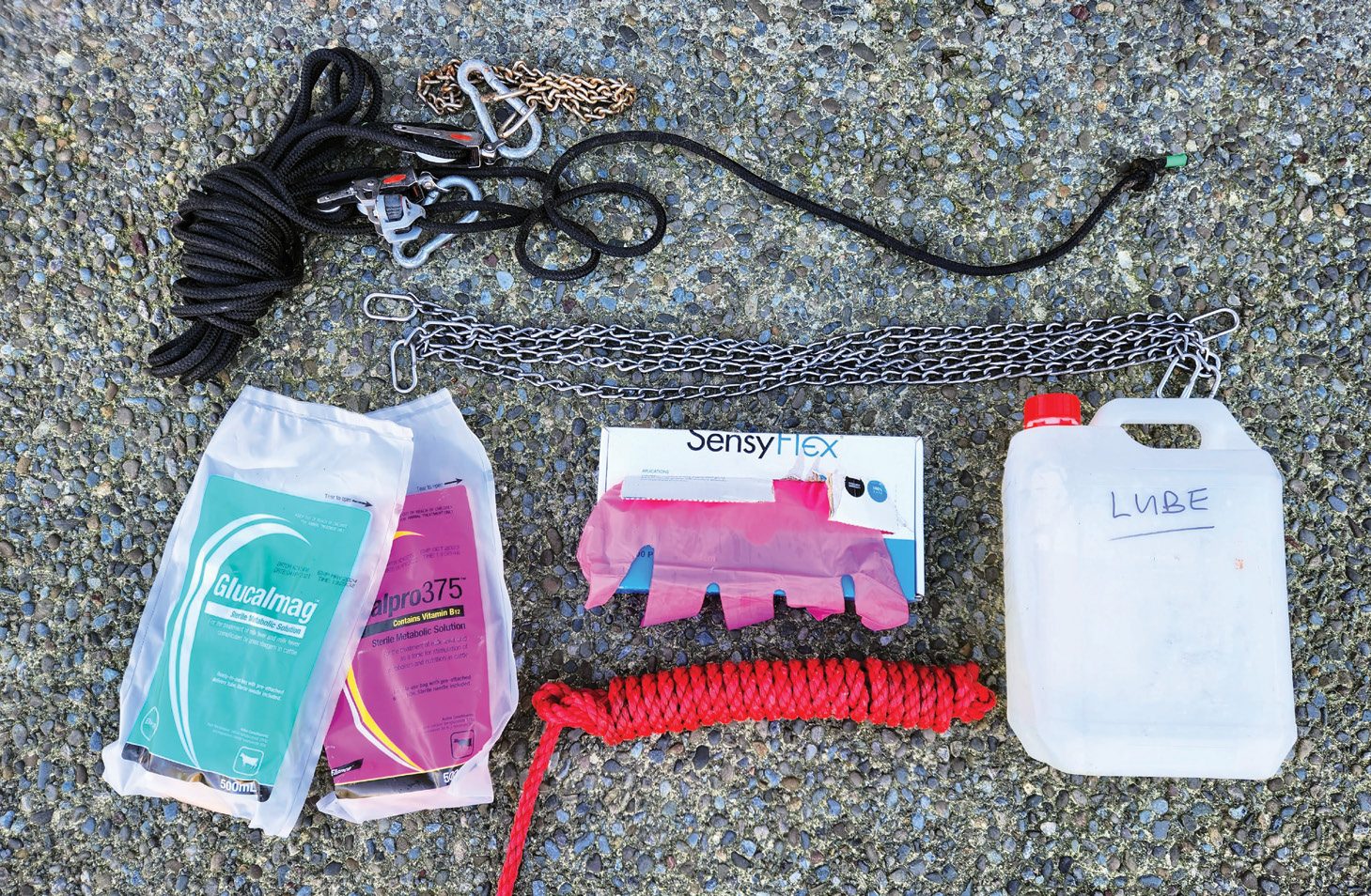 The spring calving kit - Dairy Country