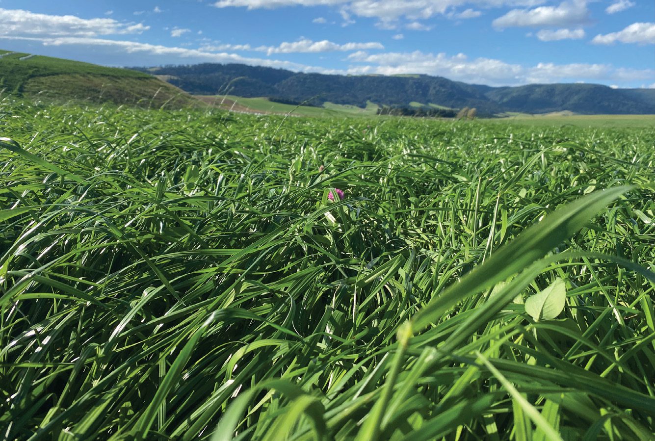 Agricom's 'Beast' unleashed - Dairy Country