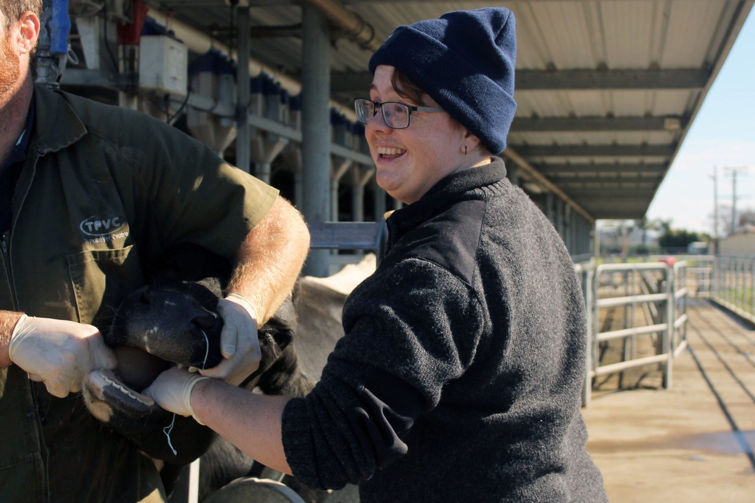 A RAT test for FE - Dairy Country