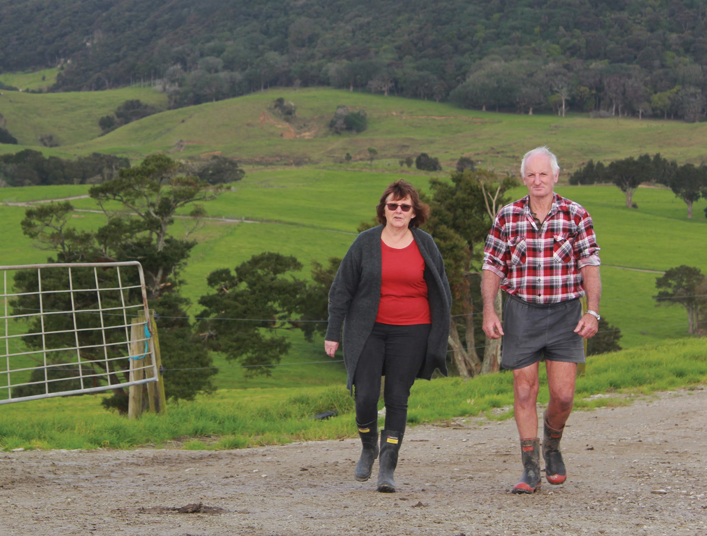 Fertile farming in the north - Dairy Country
