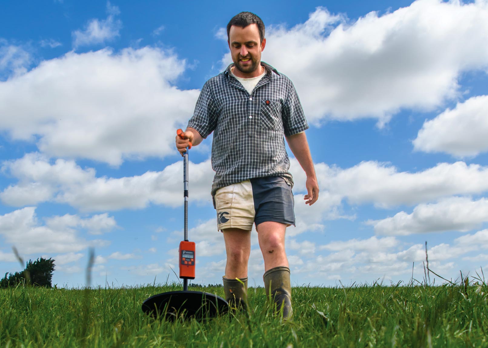 Pasture first in Southland - Dairy Country
