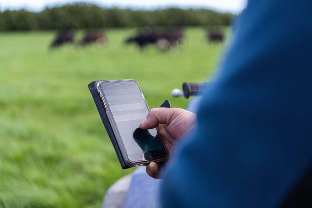 Collars deliver on ROI - Dairy Country