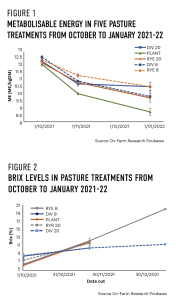 Brix might not be best - Dairy Country
